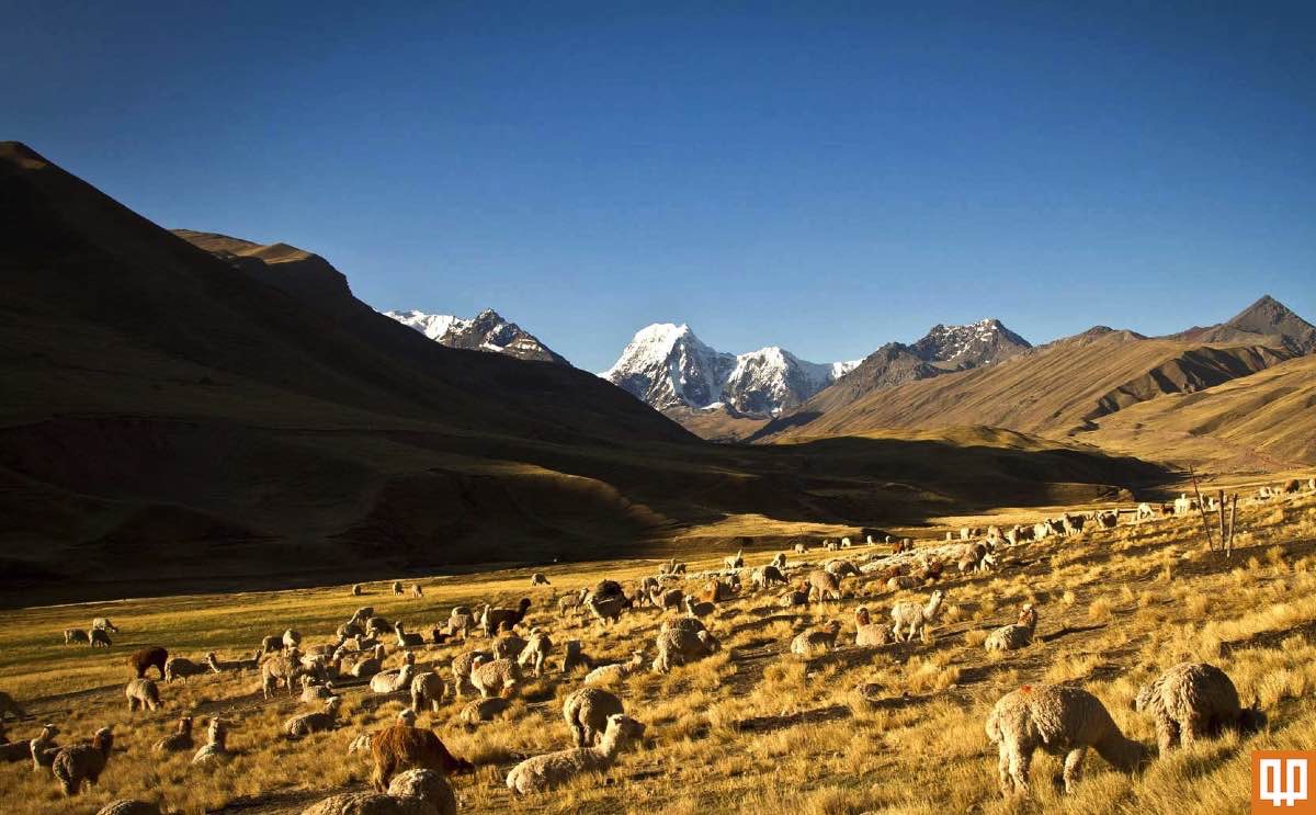 Mountains - Apu Productions